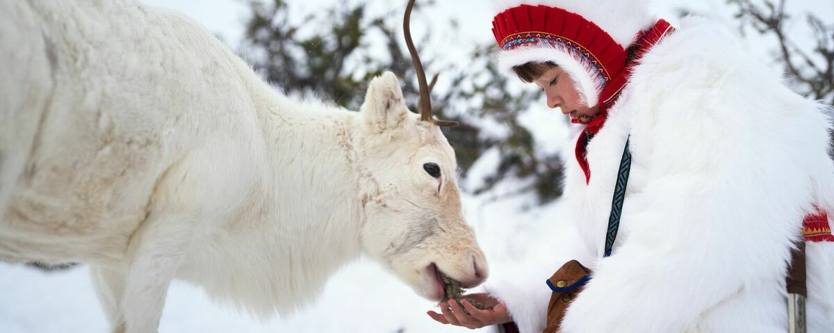 Samiska dramat "Stöld" får premiärdatum och nya bilder - MovieZine.se