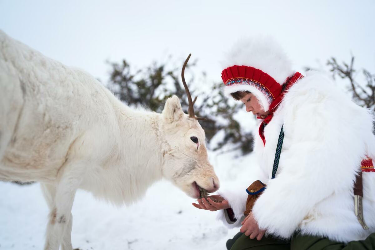 Peter Birro: "Det är sånt man som manusförfattare drömmer om ...
