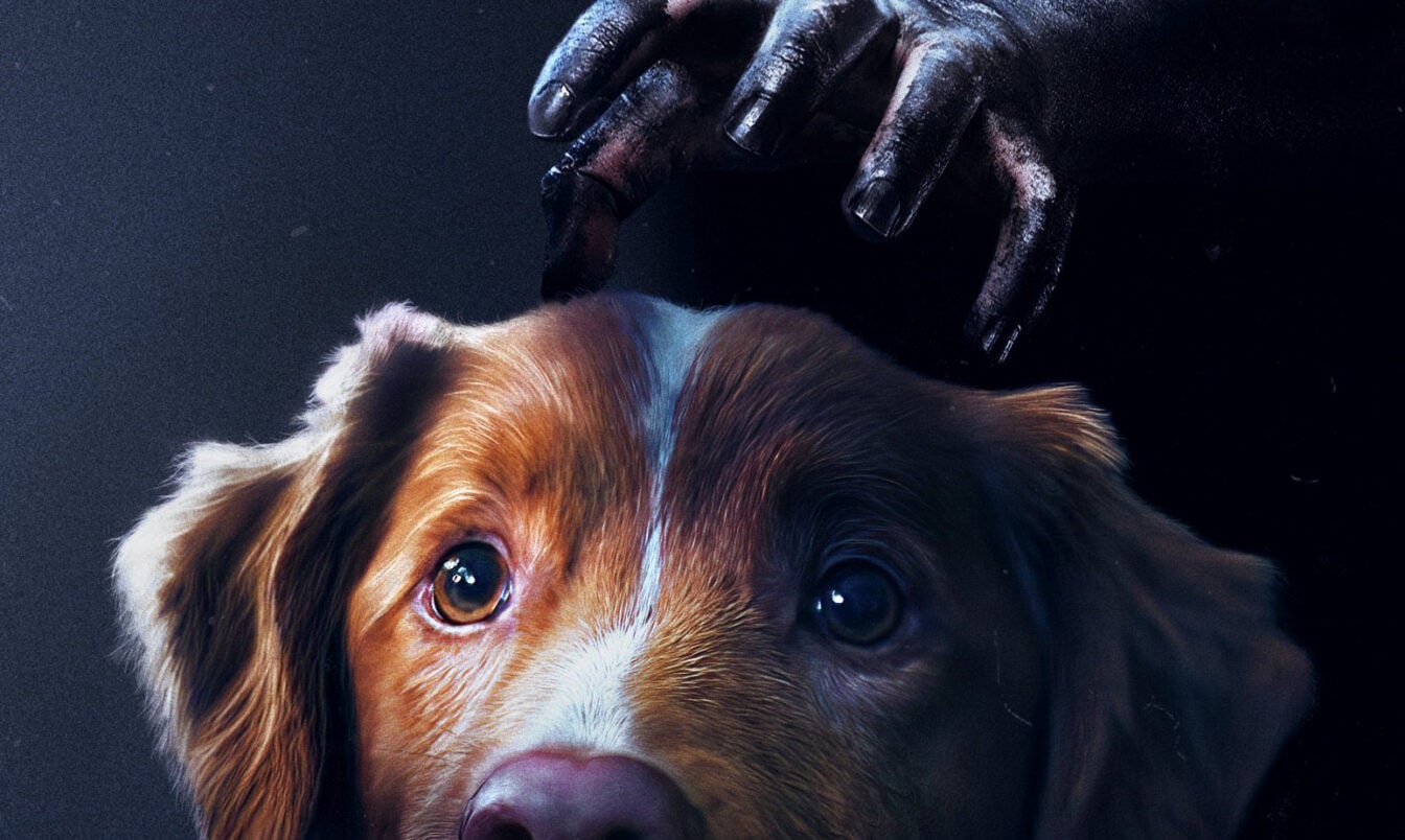 Helt unika "Good Boy" är "en av årets bästa skräckfilmer" - nu får den ...