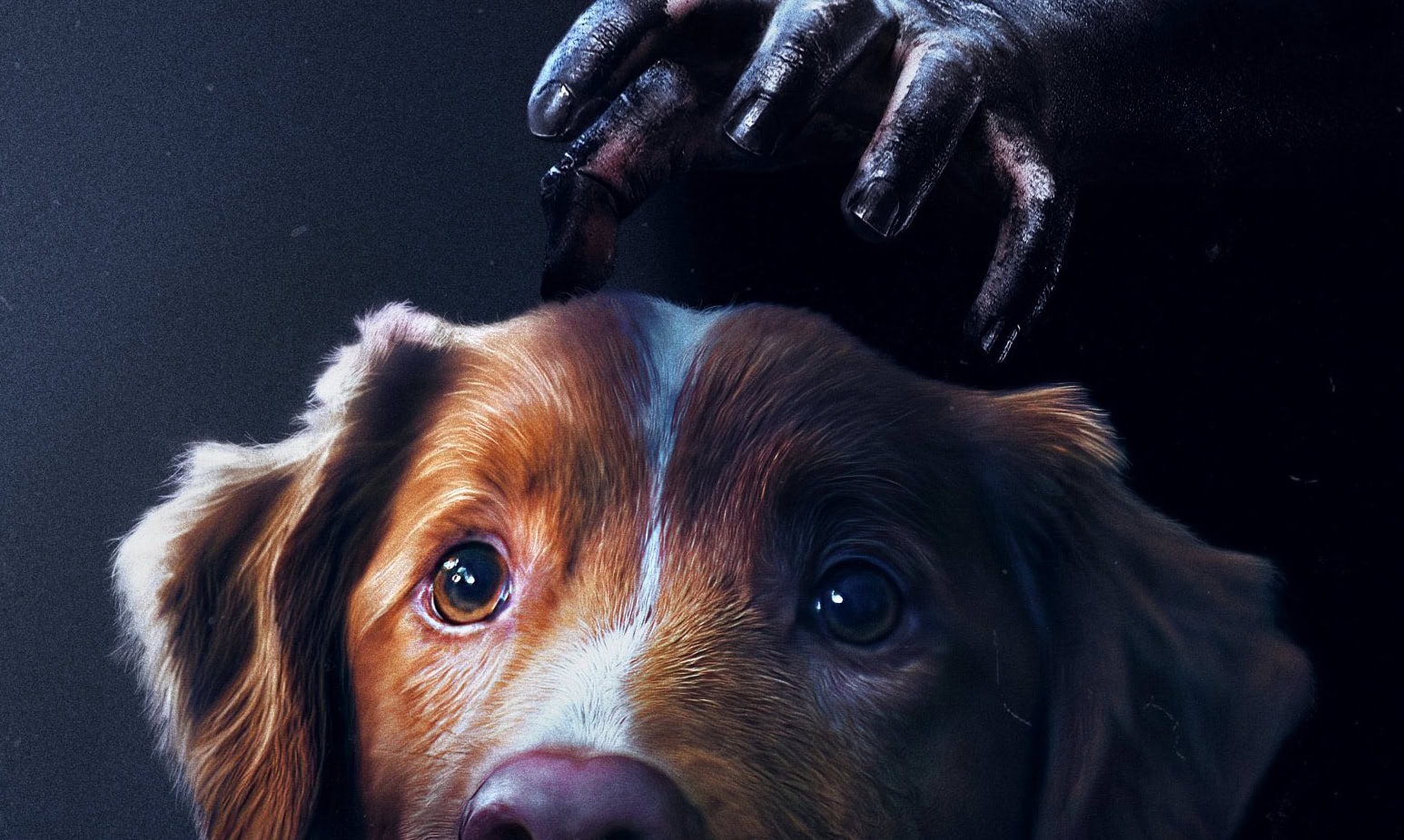 Helt unika "Good Boy" är "en av årets bästa skräckfilmer" - nu får den ...